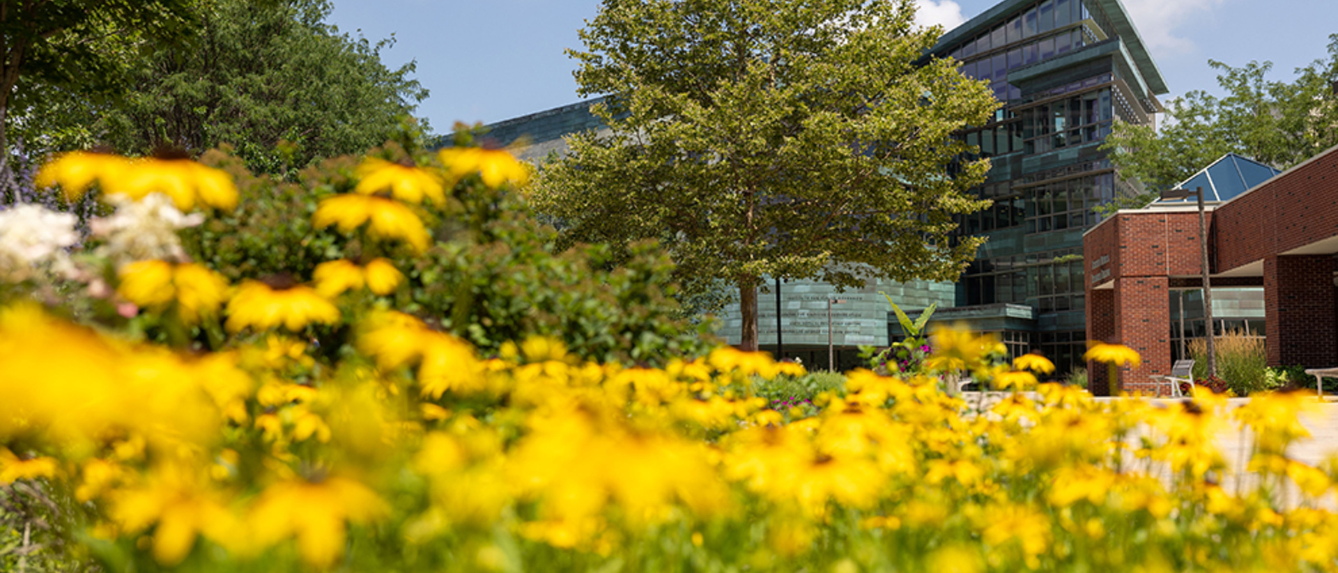 Carver College of Medicine | The University of Iowa